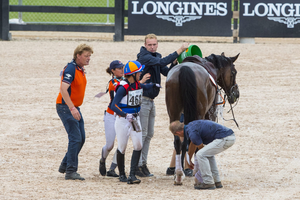 Teamdierenarts van de Olympische paarden - KNMvD.nl