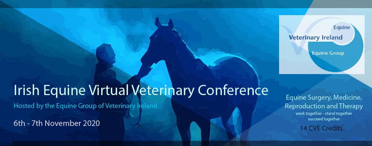 IRISH EQUINE VETERINARY CONFERENCE GOES VIRTUAL IN 2020! - KNMvD.nl