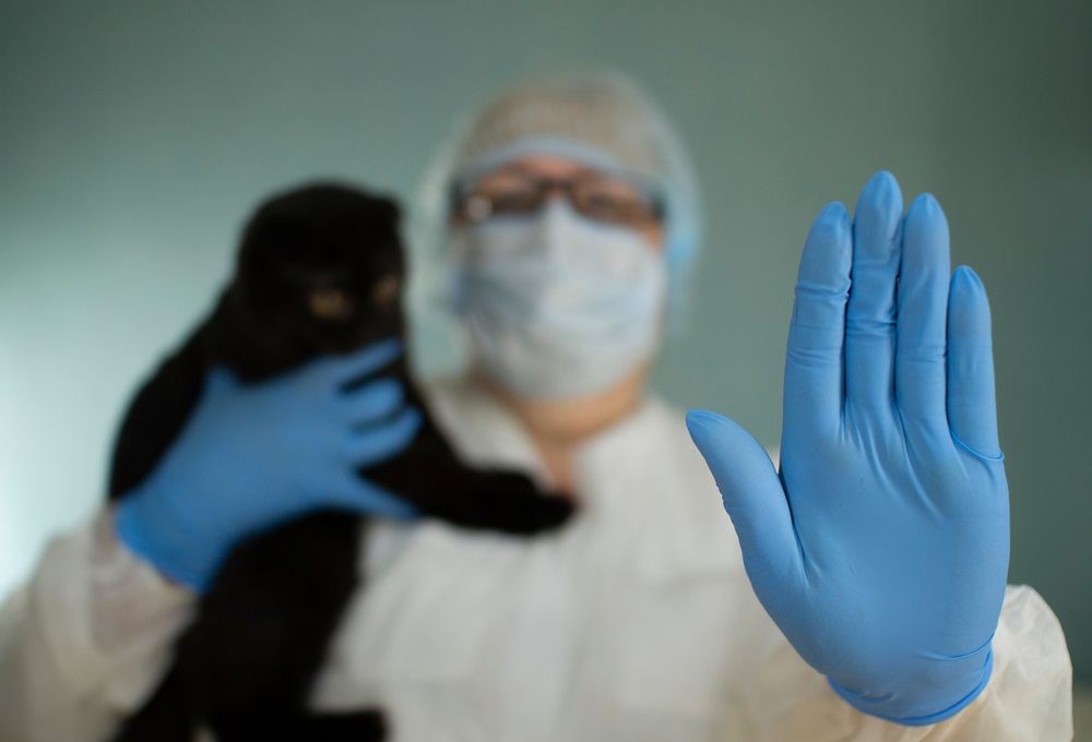 Uitslag enquête: hoe zit het met de personele bezetting van de ...