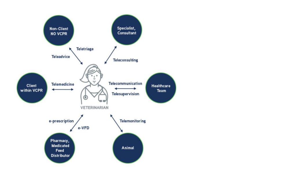 KNMvD-standpunt over telehealth en telemedicine - KNMvD.nl