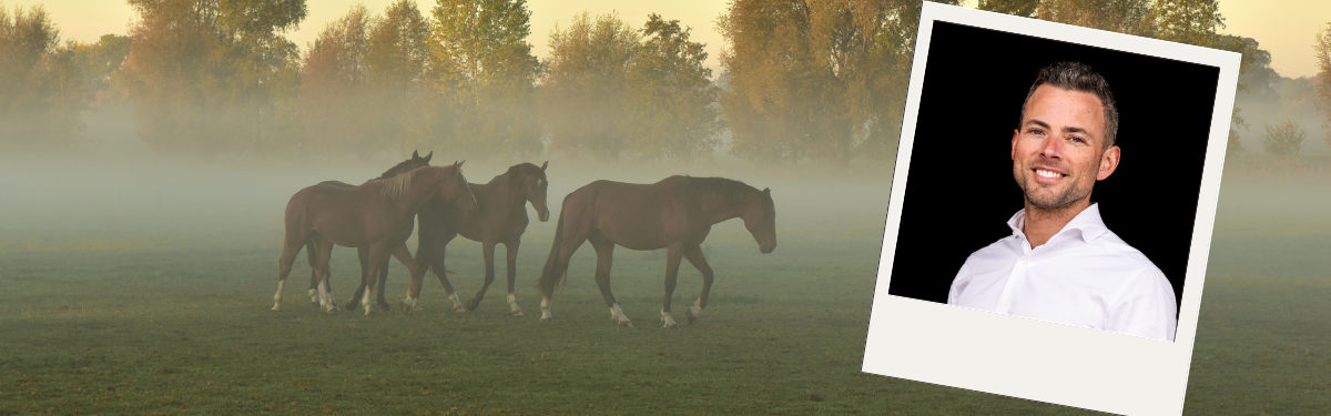 Leidraden Paard: gezamenlijke kwaliteit in de paardengeneeskunde - KNMvD.nl