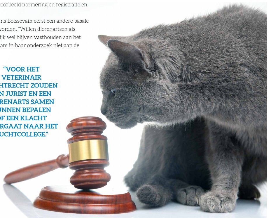Veterinair tuchtrecht maakt dat dierenartsen defensief gaan werken ...