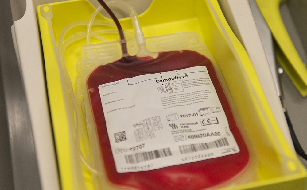 Bloedbank voor honden en katten: Is jouw hond of kat al bloeddonor?